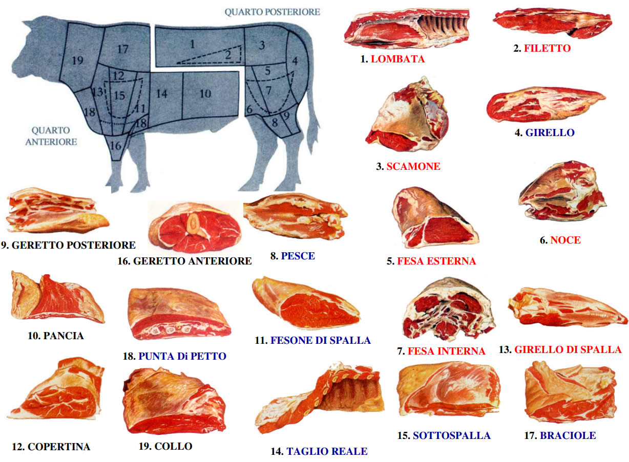Figo! 15+ Elenchi di Tutti I Tipi Di Carne? Cereali + legumi = carne ... Figo! 15+ Elenchi di Tutti I Tipi Di Carne? Cereali + legumi = carne ...